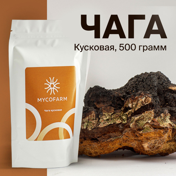 Чага березовая(Кусковая), Березовый гриб, Трутовик скошенный, 500 грамм ...