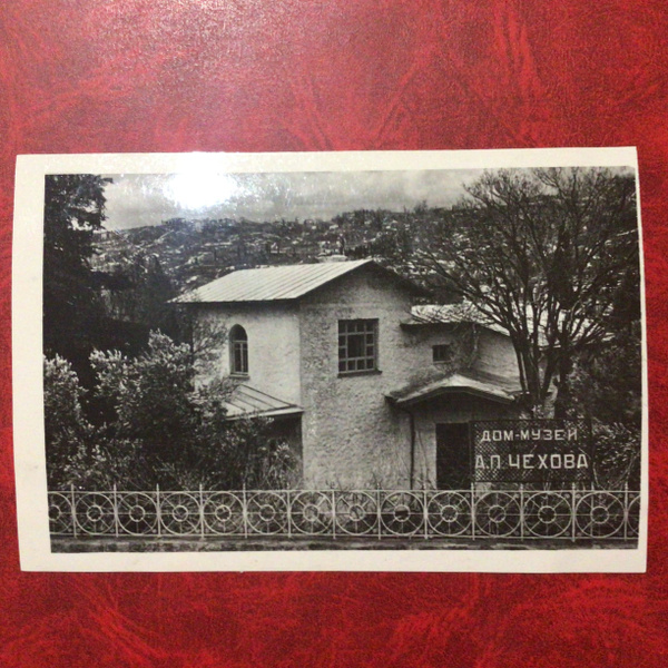 Открытка Винтаж Ялта Дом-Музей Чехова 1956 год Арт 13 купить по низким ценам в интернет-магазине ...