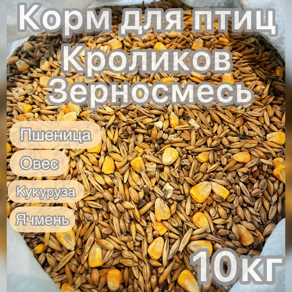 корм для домашних лесных уличных птиц кроликов зайцев / зерносмесь для ...