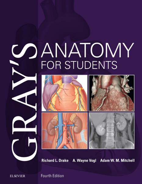 Drake. Gray's Anatomy for Students. 2019 - купить с доставкой по ...