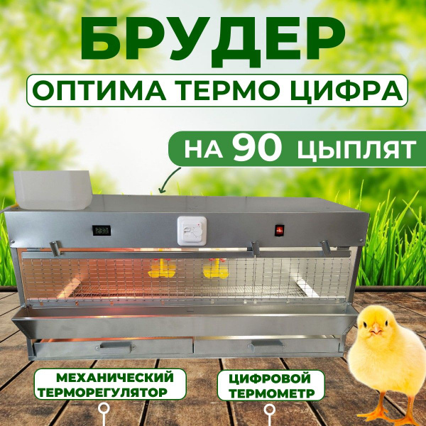 Брудер для 90 цыплят Оптима Цифра с терморегулятором Стандарт - купить ...