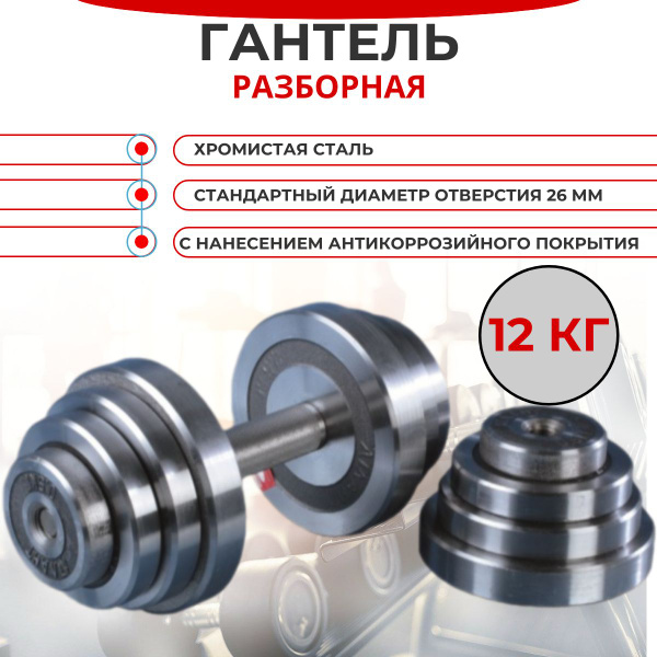 Гантели АТЛАНТ D230580, 1 шт. по 12 кг, серебристый - купить по ...