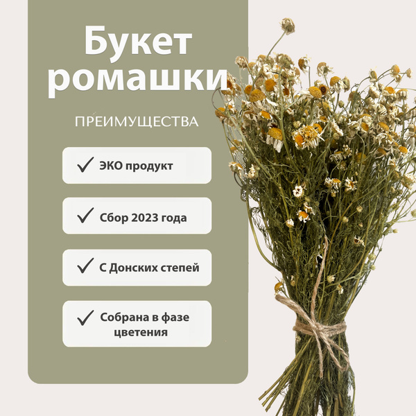 Ромашка. Травяной букет - Веник для бани, купить в интернет-магазине ...