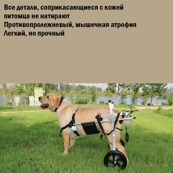 Инвалидная коляска для кошек и собак, складная модель, М (подходит для ...