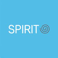 SPIRIT — купить товары SPIRIT в интернет-магазине OZON