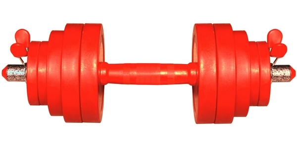 Гантели Leco Home, 1 шт. по 16 кг, красный купить c доставкой на OZON ...