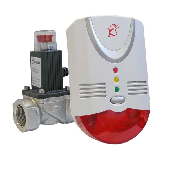Комплект Кенарь GD100-CN + Клапан GV80 DN15 (1/2") (метан + СО) с ...