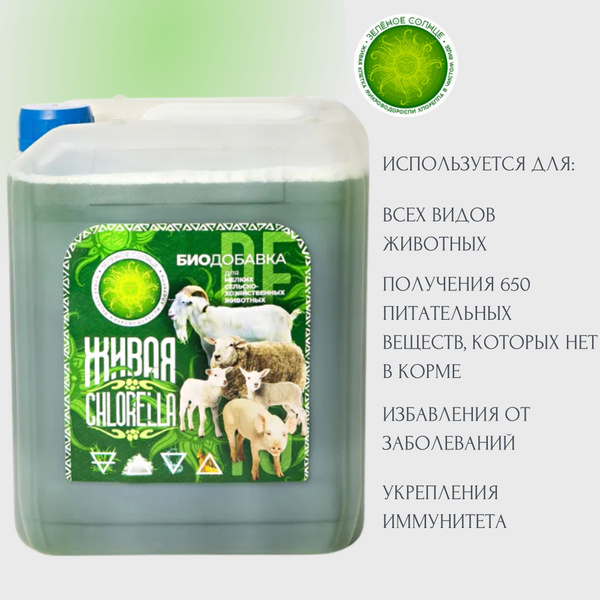 Живая микроводоросль хлорелла Chlorella 100% для мелких ...