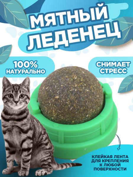Кошачья мята, мятная игрушка для кошек и котов, шарик лакомство с ...