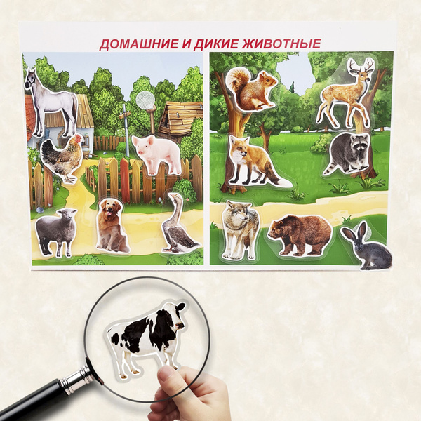 Развивающая игра на липучках - ДИКИЕ И ДОМАШНИЕ ЖИВОТНЫЕ - купить с ...