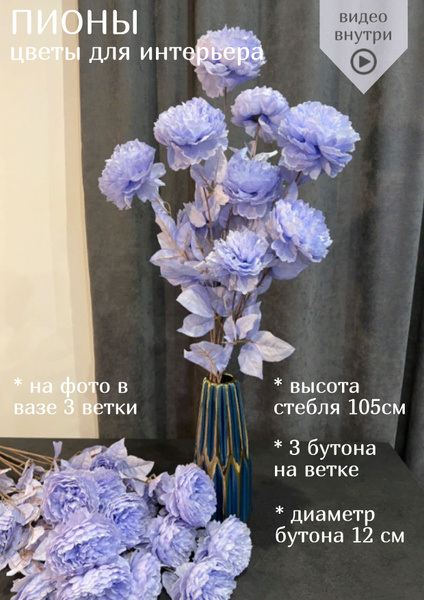 Купить Пион сиреневый по выгодной цене в интернет-магазине OZON.ru ...