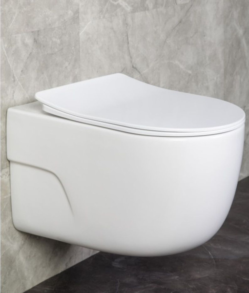 Унитаз подвесной Zandini TOSCANA Z19-18 безободковый купить на OZON по низкой цене (1743919646)