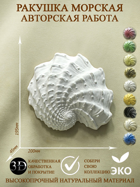 Панно New3dart Декорация настенная Ракушки РакушкаБелаяВихрь5 купить по выгодным ценам в