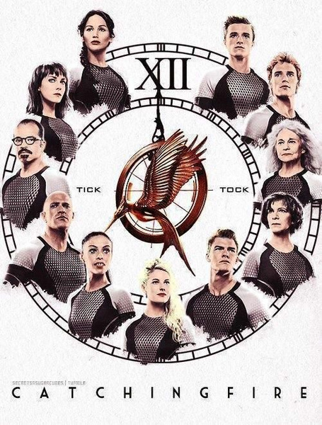 Термонаклейка на все виды и любой цвет одежды 30х21см (DTF) Голодные игры, Фильм - купить с ...