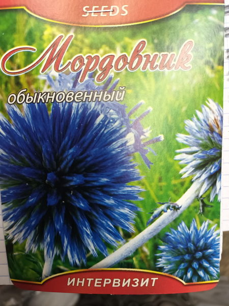 Многолетники для альпийской горки, Различные травы Многолетники_синий ...