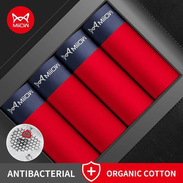 Комплект трусов брифы, шорты Miiow, 4 шт - купить с доставкой по выгодным ценам в интернет ...