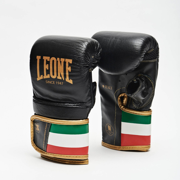Боксерские перчатки Leone 1947 SF001982 - купить по низким ценам в ...