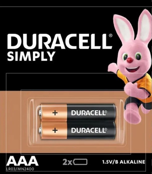 Duracell Батарейка AAA, 2 шт - купить с доставкой по выгодным ценам в интернет-магазине OZON ...