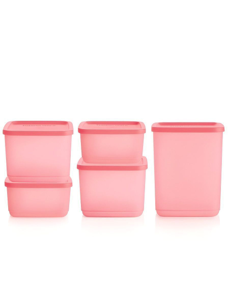 Контейнер пищевой Tupperware, объем 650 мл, 1000 мл - купить по выгодной цене в интернет ...