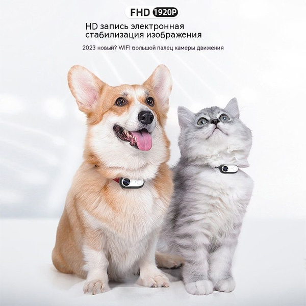 Видеоняня для животных - купить с доставкой по выгодным ценам в ...