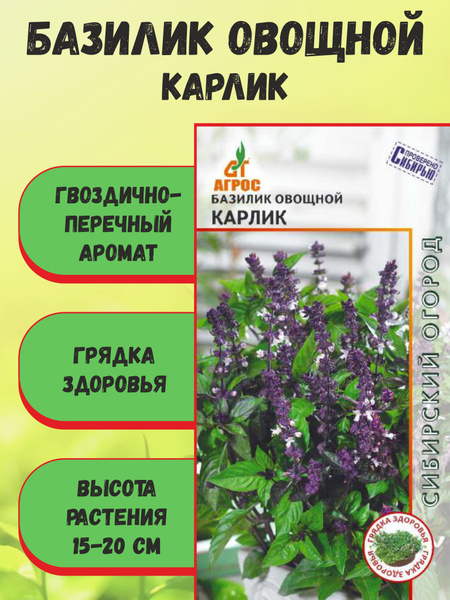 Базилик Агрос Базилик овощной Карлик - купить по выгодным ценам в ...