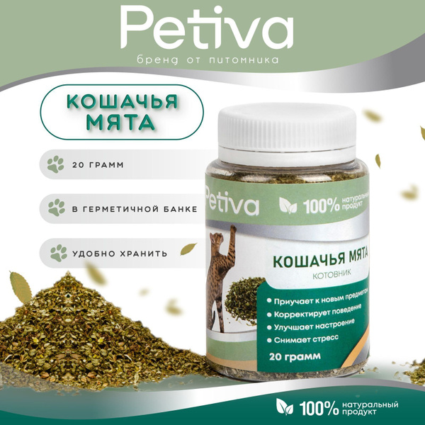 Кошачья мята для кошек и котов 20 гр сушеная сухая PETIVA котовник ...