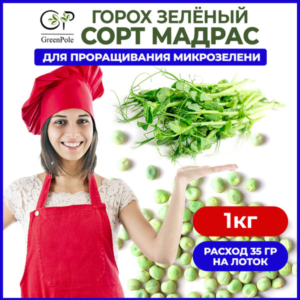 Горох для проращивания микрозелени 1 кг семена Мадрас - купить с ...