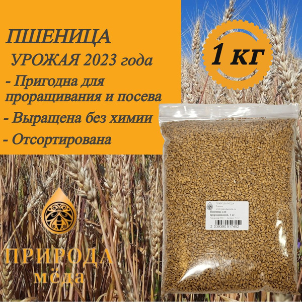 Пшеница для проращивания 1 кг купить с доставкой по выгодным ценам в