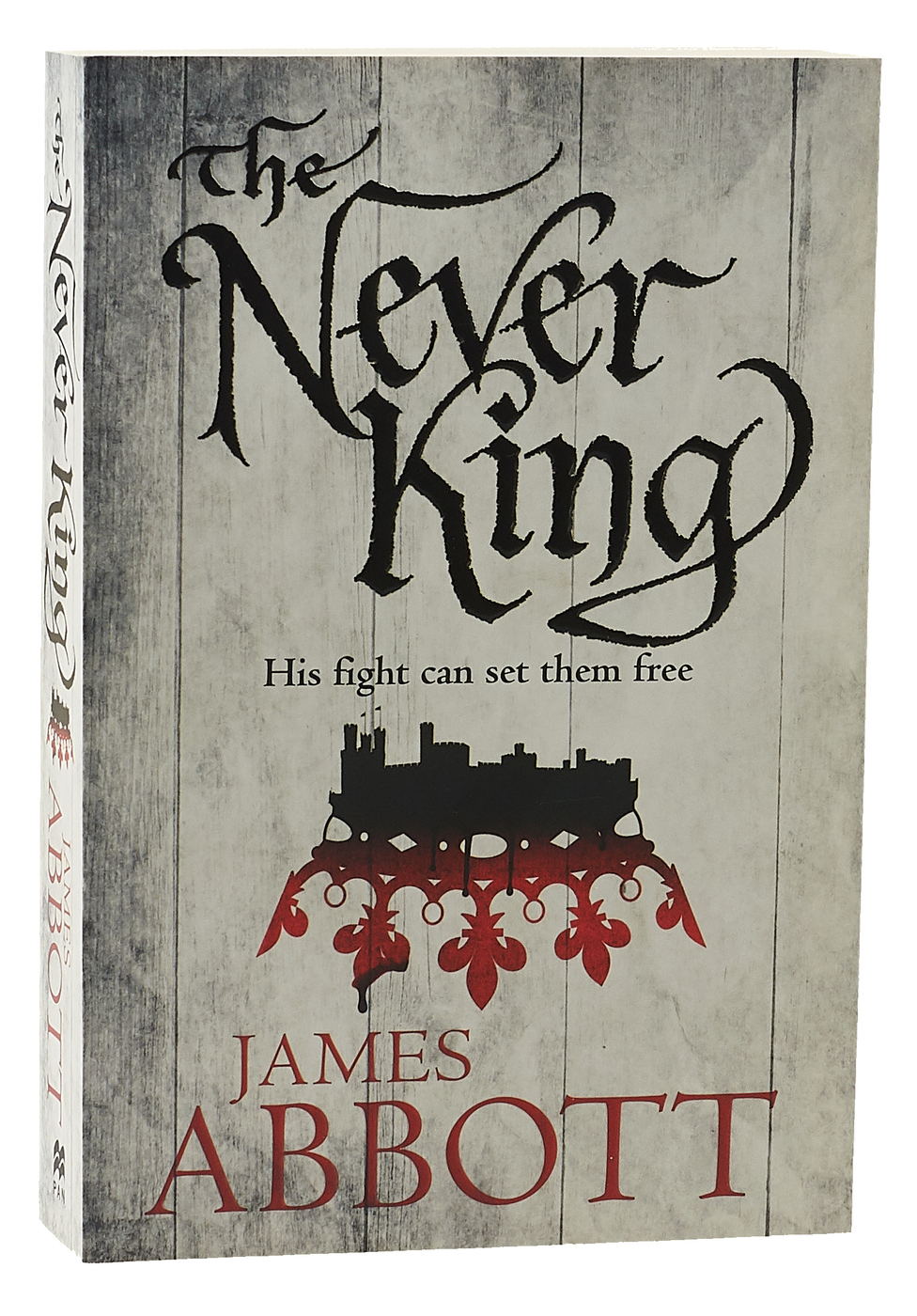 The Never King - купить с доставкой по выгодным ценам в интернет ...