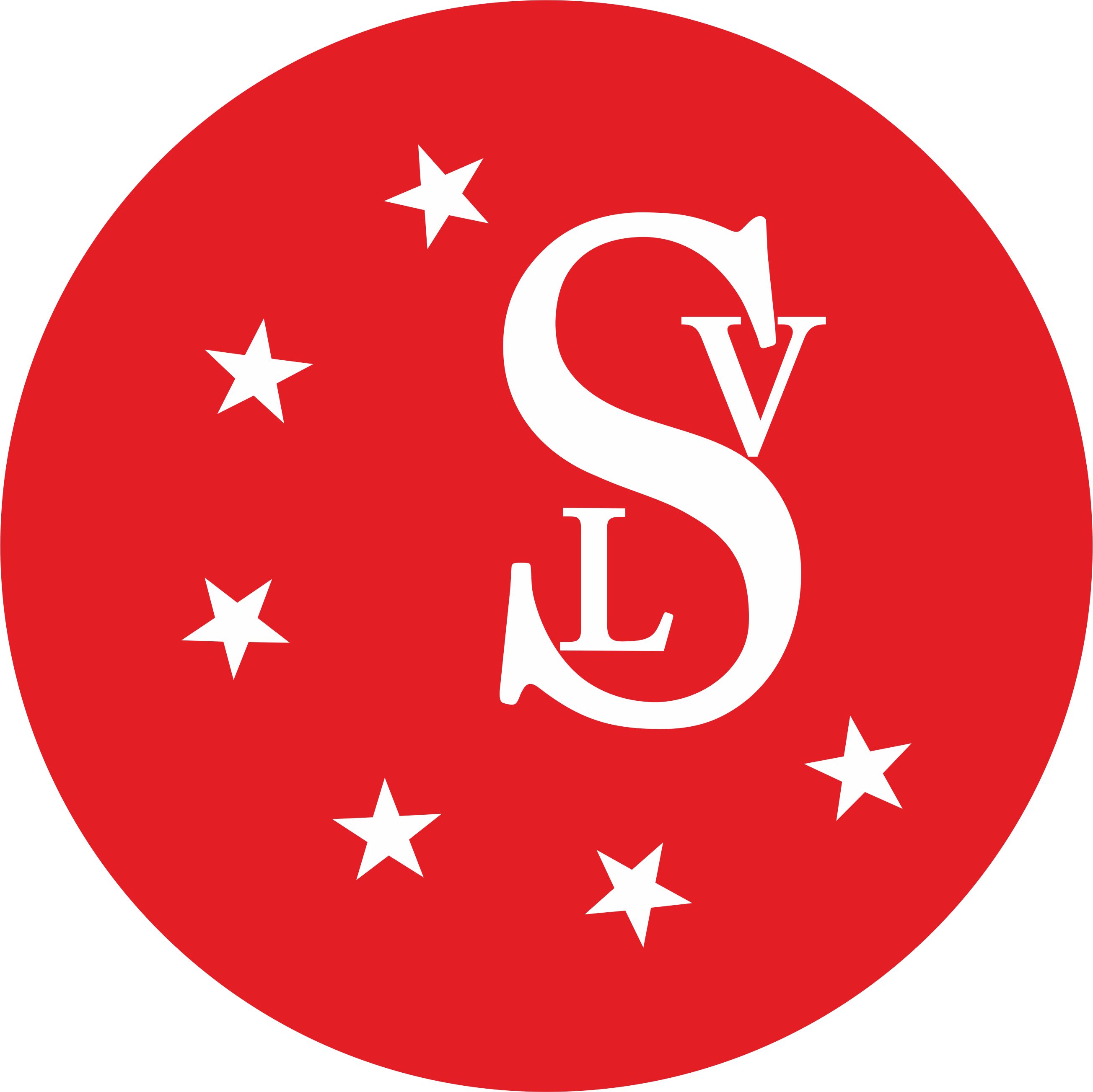 SLV — купить товары SLV в интернет-магазине OZON