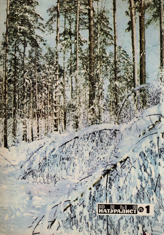 Журнал "Юный натуралист" №1, 1975 - купить с доставкой по выгодным ...