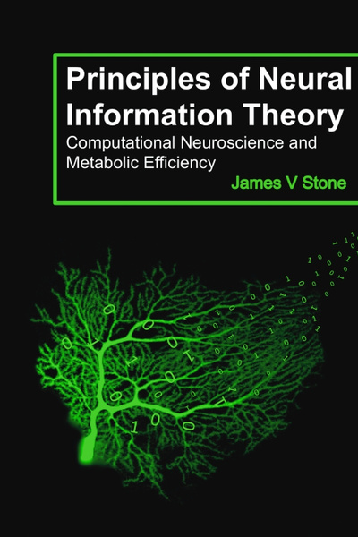 Principles Of Neural Information Theory Computational Neuroscience And Metabolic Efficiency