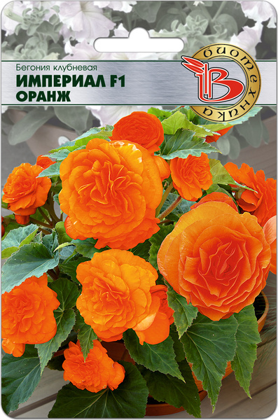 Бегонии, Бегонии комнатные Биотехника Бегония Империал F1_4606362974124 ...