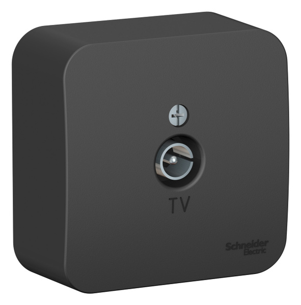 Розетка накладная TV, антрацит Systeme Electric Blanca - купить по ...