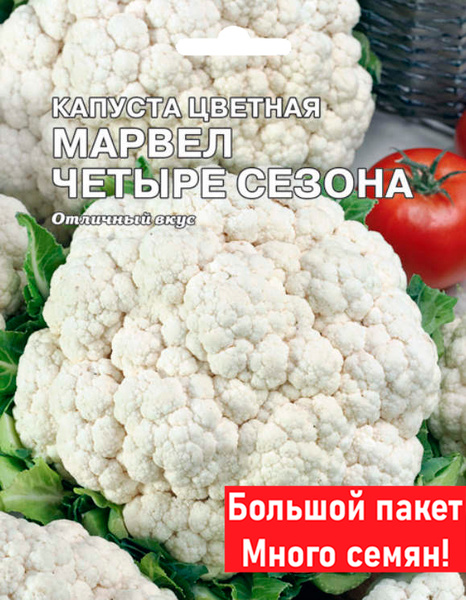 Капуста Сембат 4 сеазонс - купить по выгодным ценам в интернет-магазине ...