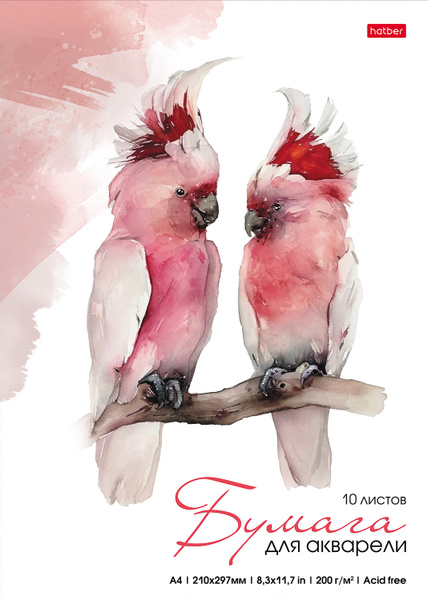 Набор акварельной бумаги Hatber 10 листов А4, 200 г/кв. м, в папке, с тиснением - купить с ...