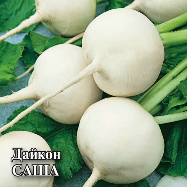 Дайкон Гавриш 1026996708_1 - купить по выгодным ценам в интернет ...