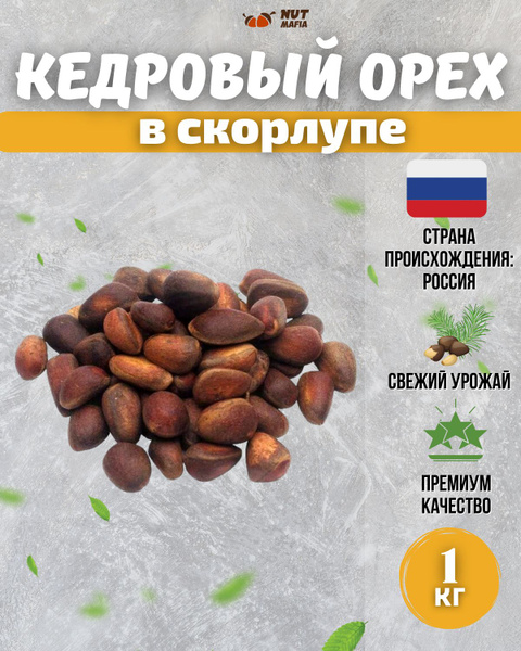 Кедровые орехи в скорлупе 1 кг купить с доставкой по выгодным ценам в