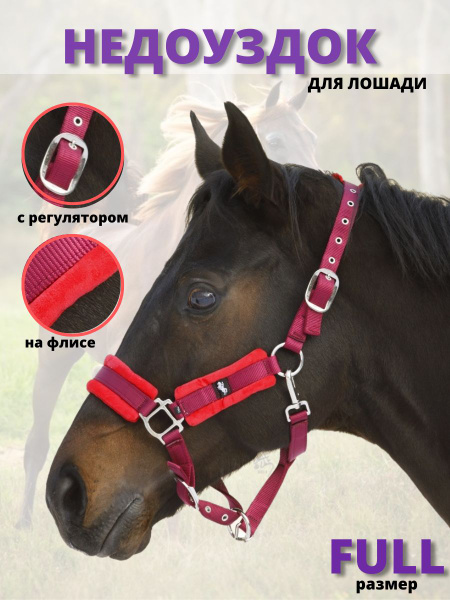 Sweethorse / Недоуздок FULL / упряжь / уздечка для лошади / конная ...