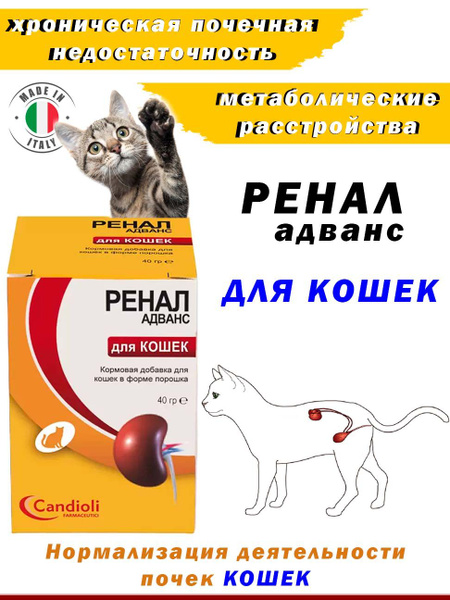 Ренал Адванс порошок для кошек для почек, 40 гр. купить на OZON по ...
