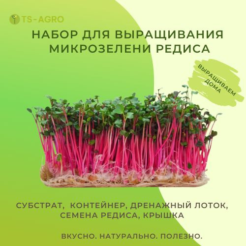Набор для выращивания TS-AGRO, Микрозелень, Однолетник купить по ...