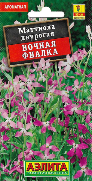Маттиолы Аэлита Маттиола Ночная фиалка - купить по выгодным ценам в ...