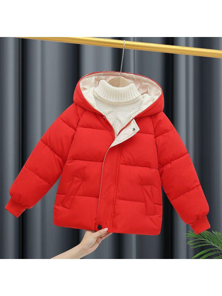 Куртка THANHDAT - купить с доставкой по выгодным ценам в интернет-магазине OZON (885938626)