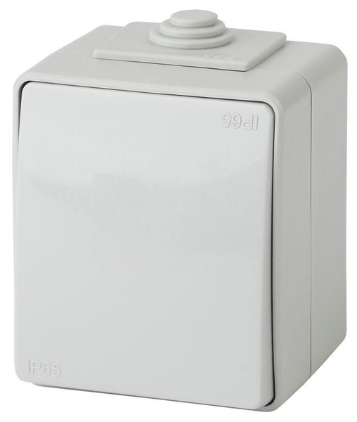 Выключатель 1-кл. ОП Эра Эксперт 10А IP65 11-1601-03 250В 10AX сер. Эра ...