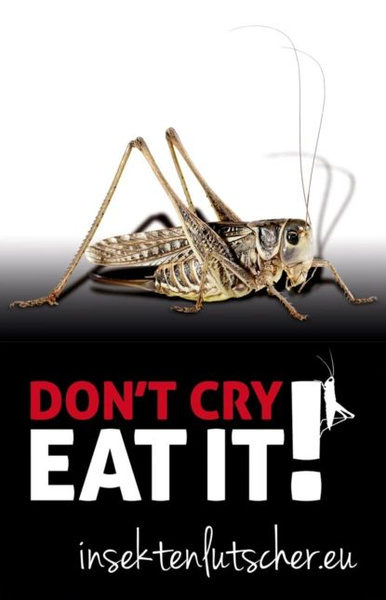 Don't cry. Eat it! | Bessler Dennis, Michael Iselt | Электронная книга ...