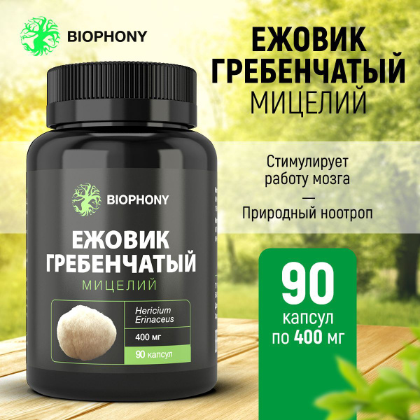 Ежовик гребенчатый (Ежевик), 90 капсул — купить в интернет-магазине ...