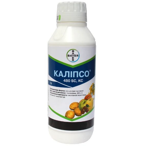 Калипсо - купить с доставкой по выгодным ценам в интернет-магазине OZON ...