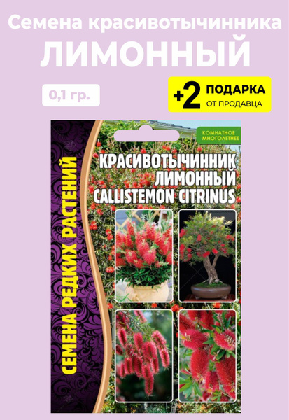 Красивотычинник For Home And Family Красивотычинник 0,1_зеленый ...