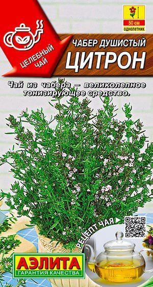 Чабер Аэлита в СМН_Чабер душистый Цитрон - купить по выгодным ценам в ...