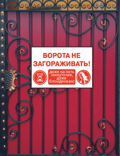 табличка "ВОРОТА НЕ ЗАГОРАЖИВАТЬ" 450х300 мм, 45 см - купить в интернет ...